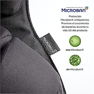 Fellowes Professional Series Back Support, Black (8037601)