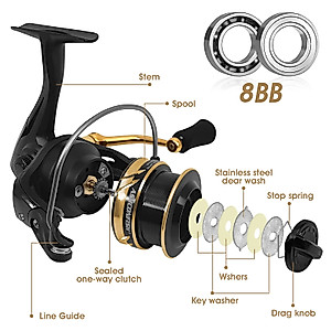Ashconfish Spinning Fishing Reel, Graphite Body, 7+1 Stainless Steel BB, 5.0:1 Gear Ratio, Lightweight Spinning Reel for Freshwater Fishing, Come with 109 Yards Braided Line AF3000