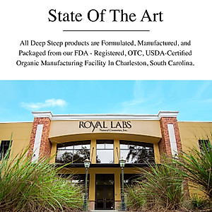 Deep Steep Sugar Scrub, Passion Fruit Guava, 8 Ounce