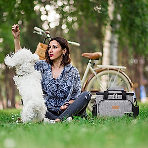 Lifewit Large Lunch Bag Soft Cooler Bag Cooling Tote for Adult Men Women, 15L/24L, Grey