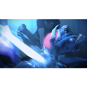 CAGASTER OF AN INSECT CAGE