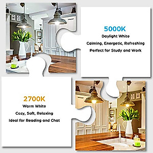 LED Light Bulbs 100W Equivalent 1500 Lumens, A19 13W 5000K Daylight White Non-Dimmable, Super Bright No Flicker Standard E26 Edison Screw Bulbs for Home, Bedroom, Office Lamp, 12-Pack