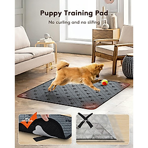 ColorfulLaVie Reusable Pee Pads for Dogs, Washable Puppy Pee Pads Waterproof Dog Training Pads, Fast Absorbent Pet Pads for Dog Bed Mats, Anti-Slip Pet Training Pads with Hook&Loop Pet Supplies