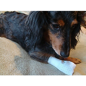 PawFlex Medimitt Paw Bandages for Dogs, Cats and Pets Medical Booties, First aid for Paws Non Slip, Non Adhesive, Breathable,Disposable, Washable, Adjustable Strap, Value Pack (X-Small 12-Pack)