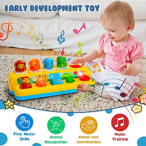 Interactive Pop up Animal Toys with Music & Light, Montessori Cause and Effect Toys for 1 Year Old Boy Girl Early Learning Musical Baby Toys 9-12-18 Months STEM Toddler Toys Age 1-2 Gift for Infant