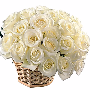 zcbang 100+ Seeds White Rose Bonsai Flower Balcony Plant for Home Garden