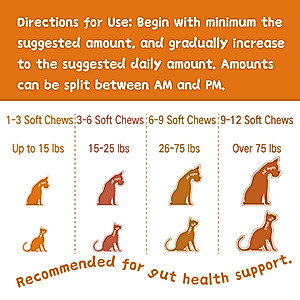 jovani Probiotic Soft Chews for Dogs, Digestive Enzymes for Gut Flora, Digestive Health, Diarrhea & Bowel & Immune System Support - Pumpkin Flavor - Contains 200 Soft Chews