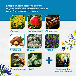 My Israels Miracle Hair Bath Clean & Shiny Shampoo - Herbal Hair Growth Shampoo – Argan Oil Shampoo with Powerful Organic Hair Care Herbs from Israel, (8 Ounce)