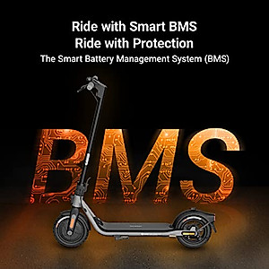 Segway Ninebot D18W Electric KickScooter- 250W Motor, 11.2 Miles Range & 15.5MPH, w/t 10" Pneumatic Tires, Dual Brakes, Commuting Electric Scooter for Adults & Teens