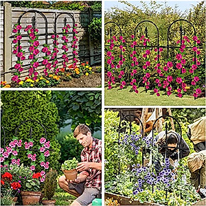 Garden Trellis for Climbing Plants Outdoor, Rustproof Sturdy Garden Arch Trellis for Potted Plants Outdoor Decoration, Plant Trellis Support Climbing Rose Vine Vegetable Flower Ivy Grape