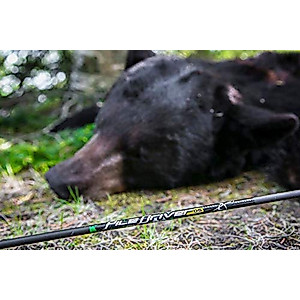 Carbon Express Piledriver DS Hunter Shafts - 12 Pack, 450