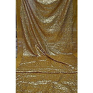 Sequins and Metallic in Mesh Fabric by Yard,Embroidery Lace Heavy Beads,Sequin Embroidery Lace Fabric, Metallic Fabric,Smoke Gray Sequin (Gold, 10 Yards)