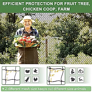 Bird Netting for Garden Protection - 25x25ft Poultry Netting for Chicken Coop, 1” Mesh Heavy Duty Garden Net, Fruit Tree Netting for Blueberry Bushes, Vegetable Against Squirrels, Deer