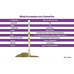One Step Pet Urine Test Strips, 50 x Urinalysis Parameter Tests for Dogs, Cats, Vets & Animals. Accurate Testing for Veterinarians Detects UTI, Diabetes, Bladder, Kidney, Liver, SG, pH, Glucose
