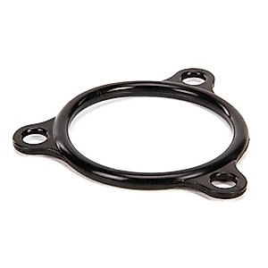 CHAMPION - MOYER DIEBEL PARTS 109985 SEAL ELECTRIC HEATER FLANGE (109985)