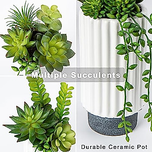 Hollyone Artificial Succulents Plants Set of 2 Faux Succulents 9" Fake Succulent Plants in Ceramic Pot Succulent Plant for Desk Modern Home Living Room Office Table Shelf Bathroom Decor