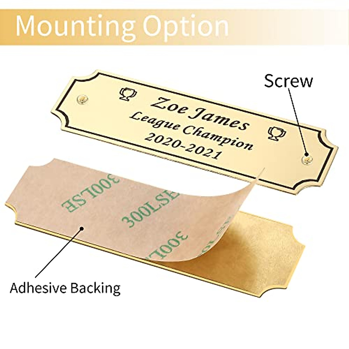 3"W x 1"H, Custom Elegant Engraved Plate, Personalized Memorial Name Plate for Trophy, Frames, Urn, Brass or Stainless Steel Laser Engraved Plaque with Adhesive Backing or Screws (Silver, Gold)