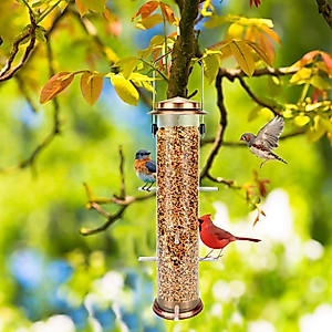 MIXXIDEA Finch Bird Feeder Hanging Metal Thistle Seed Feeder with 8 Feeding Ports Nyger Seed Feeder, Goldfinch Feeder for Outdoors Garden Copper