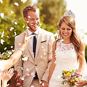 Crown Cake Topper Crystal Quinceanera Crown Princess Tiara for Women and Girls Decoration for Wedding Birthday Baby Shower Bride Hair accessories (Rose Gold)