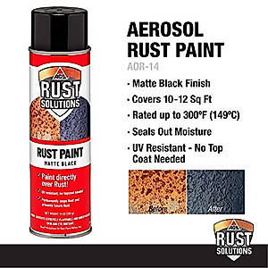 AGS RUST SOLUTIONS Rust Spray Paint, 14 Ounces, Matte Black Finish