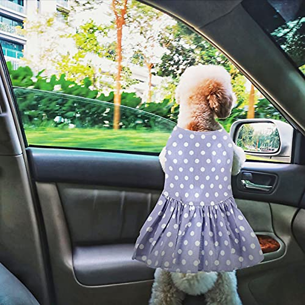 UKCOCO Dog Clothes Small Dog Skirt Puppy Clothes Summer Cat Kitten Outfit Pet Clothing Dress