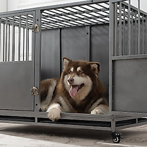 Stackable Heavy Duty Dog Crate Dog Cage, Indestructible Metal Dog Kennel Lockable for Medium Large Dogs with Sturdy Door Lock and Removable Trays, 47 Inch
