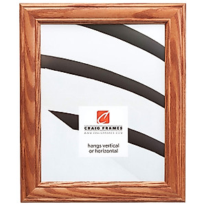 Craig Frames 59504100 16 by 20-Inch Picture Frame, Wood Grain Finish, 1.25-Inch Wide, Honey Oak