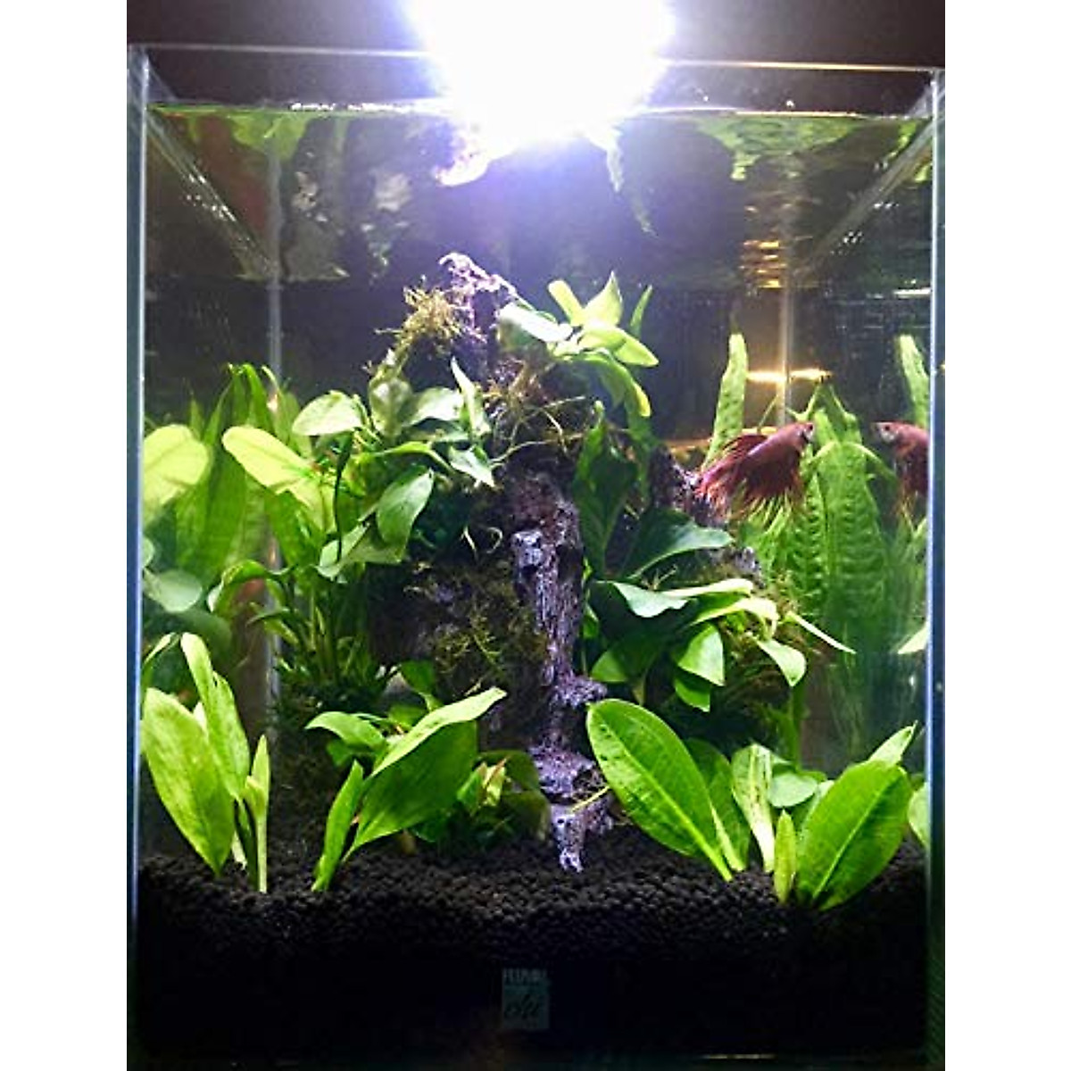 Saim Aquarium Decorations - Mountain View Stone Ornament Artificial Tree Rock Cave Mountain Landscape Fish Tank Decoration