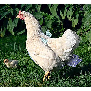 KAMA BRIDAL Chicken Diaper, Pet Diaper for Chook Duck Goose Adjustable Washable Reusable Diaper for Poultry 2 Pack