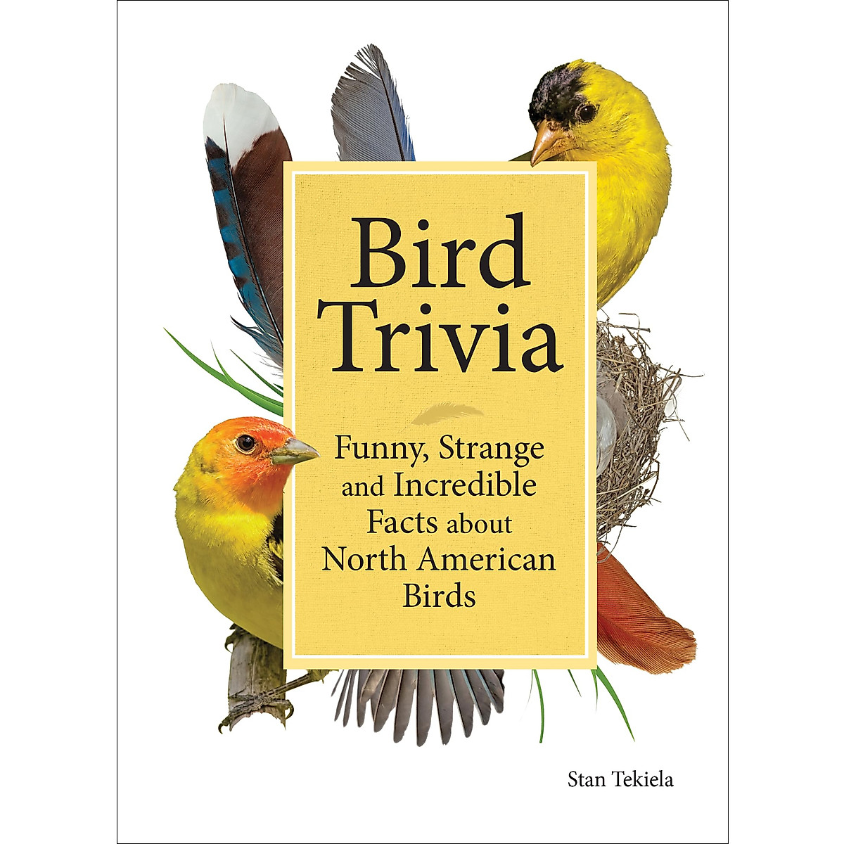 Bird Trivia: Funny, Strange and Incredible Facts about North American Birds