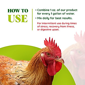 Backyard Boost Defense for Poultry, Multivitamin for Chickens, Restores Digestive Health for Hens, Poultry Hydration - 8oz