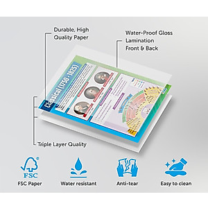 Daydream Education Classical Music History Poster - Laminated - LARGE FORMAT 33” x 23.5” -Music Classroom Decoration - Bulletin Banner Charts