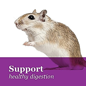 Tropical Carnival F.M. Brown's Gourmet Pet Mouse and Rat Food with Fruits - Veggies, Seeds, and Grains, Vitamin-Nutrient Fortified Daily Diet - 2lb