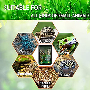 BNOSDM Natural Reptile Terrarium Bedding Small Pet Select Premium Natural Aspen Bedding for Snakes Chickens Tortoise Rabbits Hedgehogs Guinea Pig and Other Small Animals