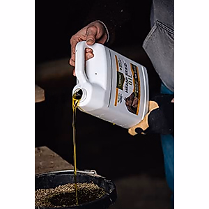 Hemptana Equine Hemp Seed Oil - Natural Support for Inflammation, Immune Support, & Gut, Coat, Hoof & Joint Health - Cold Pressed & Non GMO - Made in The USA - (1 Gal)