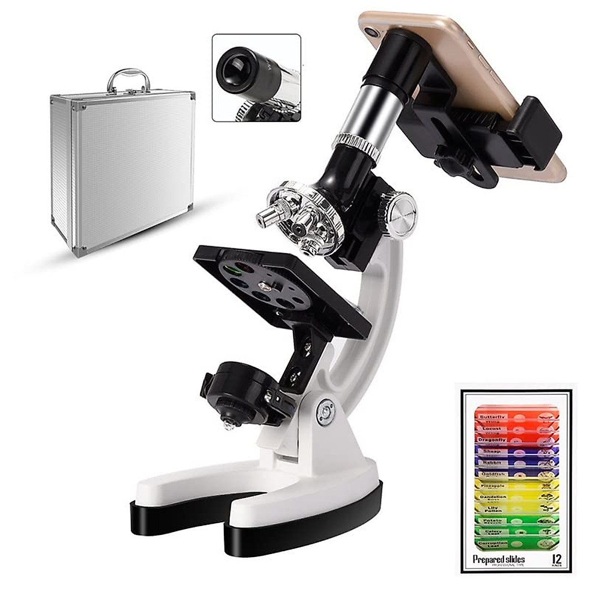 Microscope Kit 300X-600X-1200X Microscope Metal Body LED/Mirror Light Source with Carrying Alloy Storage Box Microscope Lens Adapters (Color : Set One, Magnification : 300X-600X-1200X)