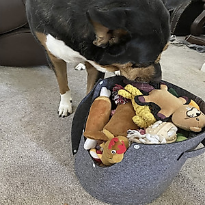 Jalousie Dog Toy Storage Basket Dog Toy Bin with Handle - Heavy Duty Thick Felt Extra Bonus Squeaky Dog Toy Included - Perfect for Organizing Pet Toys and Accessories Puppy Toy Storage for Easy Assess