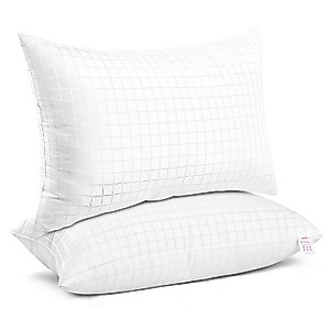 EIUE 2 Pack Queen Size Bed Pillows for Sleeping,Super Soft Down Alternative Microfiber Filled Pillows,20 x 30 Inches,white