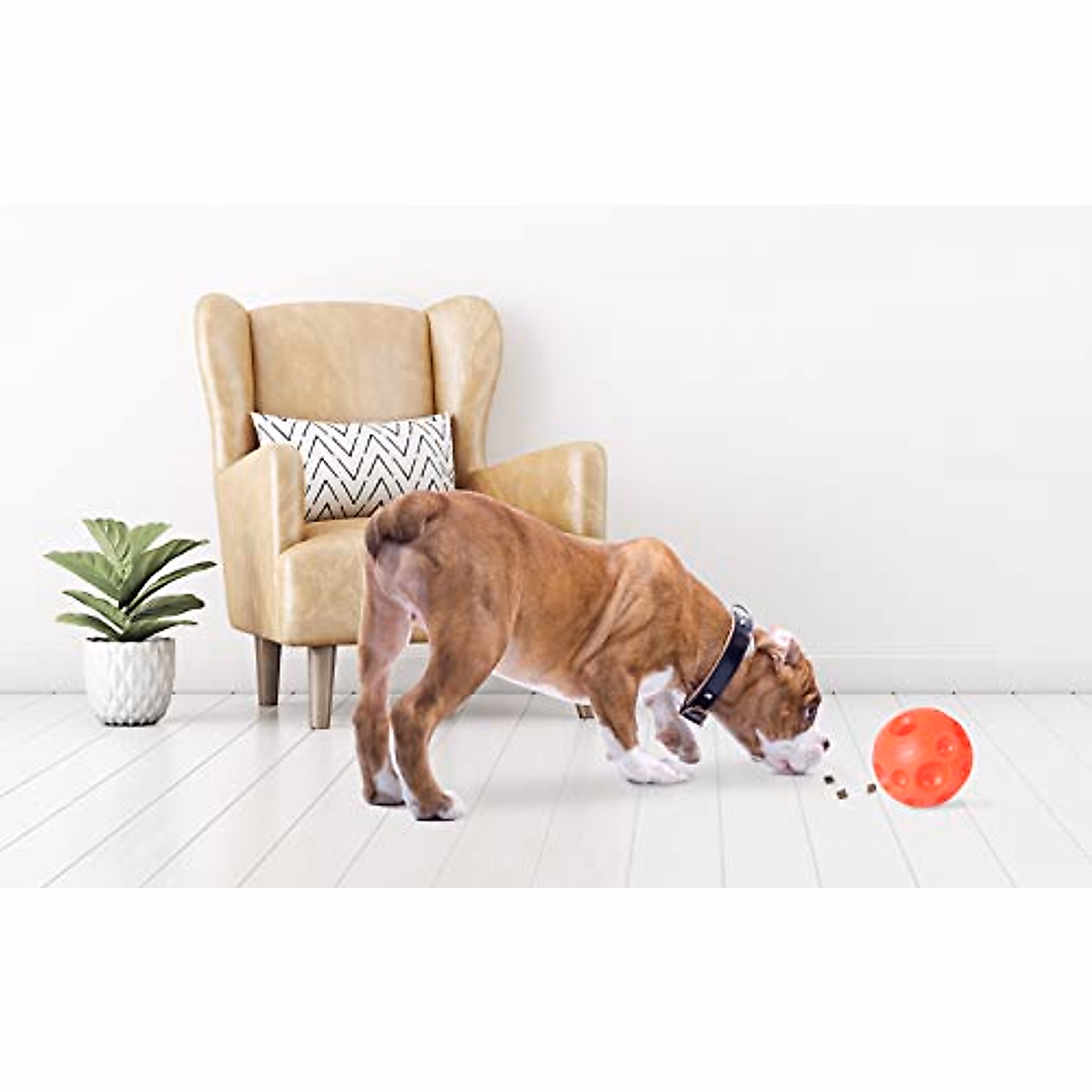 Omega Paw Authentic Tricky Treat Ball - Medium,Orange