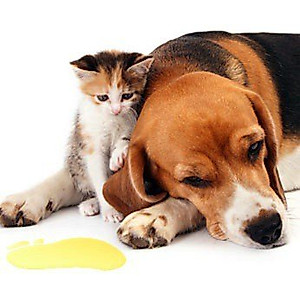 cat Urinary Tract Health Supplements - Best Urinary Tract Support - CAT and Dog Treats - Natural Way - Cranberry Supplements for Cats - 180 Treats (2 Bottle)