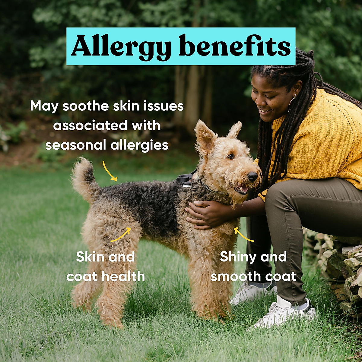 Embark Allergy Supplement for Dogs – Dog Allergy Chews, Support for Itchy Skin & Seasonal Skin Irritation – Vet-Formulated with All-Natural Ingredients – 90 Soft Chews for Small and Large Breed Dogs