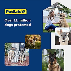 PetSafe Basic In-Ground Pet Fence – from the Parent Company of INVISIBLE FENCE Brand - Underground Electric Pet Fence System with Waterproof and Battery-Operated Training Collar