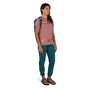 Osprey Daylite Commuter Backpack, Escapade Green/Baikal Green