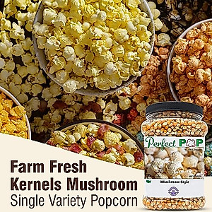 Concession Essentials Gourmet Mushroom Extra Large Popcorn Kernels - 2lbs