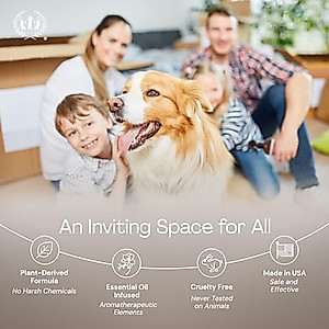 Muse Apothecary Home Ritual Active Odor Eliminator Spray - Furniture Deodorizer & Bathroom Odor Eliminator - Essential Oil Air Freshener - 4oz, Mediterranean Citrus