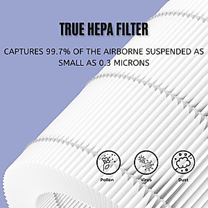 Nispira AP-T20FL True HEPA Replacement Filter Compatible with TotalClean 360° Tower Air Purifier AP-T20 AP-T20WT, 2 Pack
