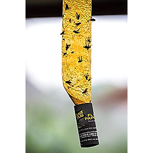 Black Flag Hg-11016 Fly Paper