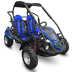 Trailmaster Blazer 200R Go Kart Youth Go Kart. Ages 10 and up, Mid Size Kids cart, Body Kit with Reverse. (Blue)