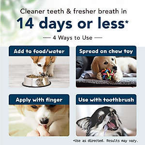 Brushless Organic Dog Toothpaste | Dog Breath Freshener | Dog Tooth Brushing Kit | Dog Teeth Cleaning | Reduce Plaque & Tartar | Vet Formulated (DR. DENTAL WAN Enzymatic Toothpaste for Dogs)