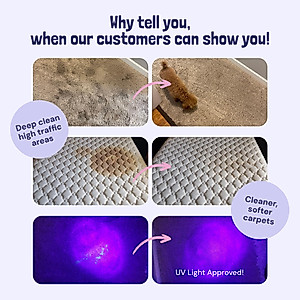 Sunny & Honey Carpet Miracle - Carpet Cleaner (32 Fl Oz (Pack of 1), Light Lavender Scent)